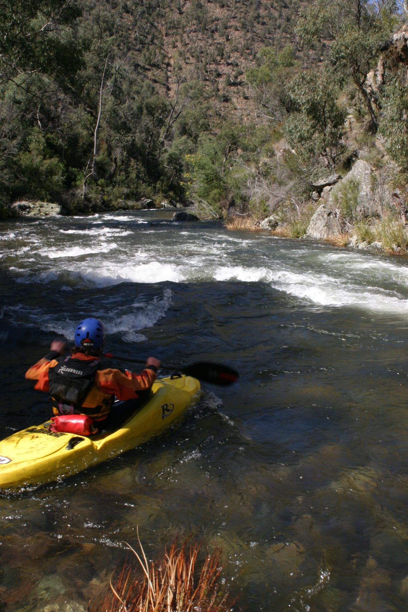 Dargo River White Water Kayaking | Wild Exposure Inc