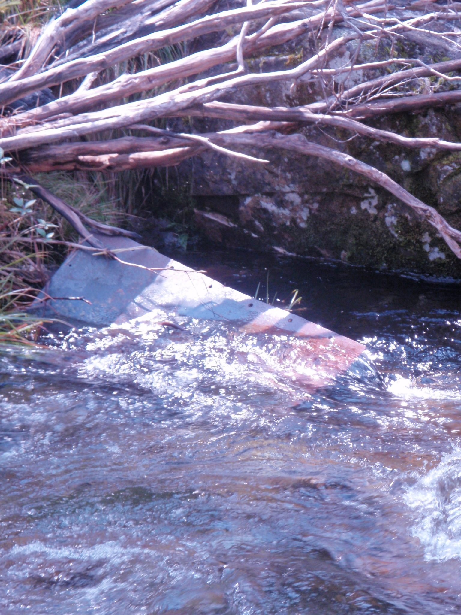 Dargo River White Water Kayaking | Wild Exposure Inc