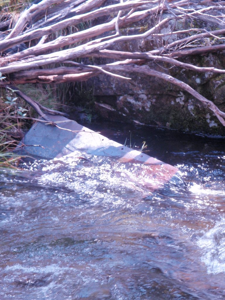 Dargo River White Water Kayaking | Wild Exposure Inc