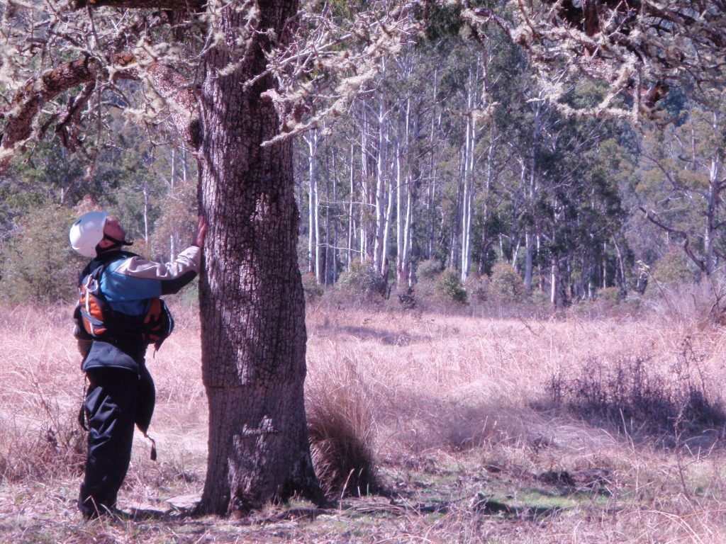 Dargo River White Water Kayaking | Wild Exposure Inc